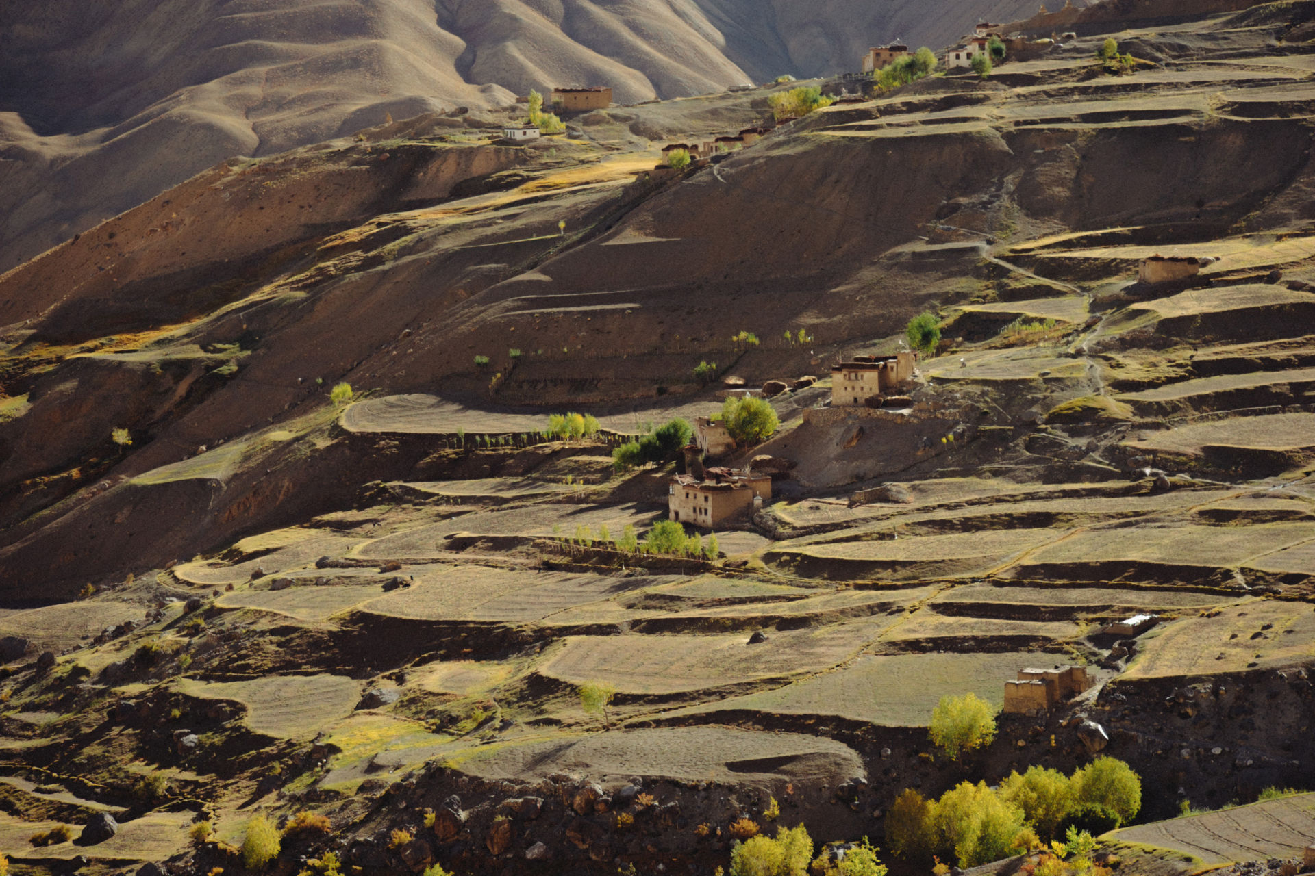 PIANO TO ZANSKAR — Gallery